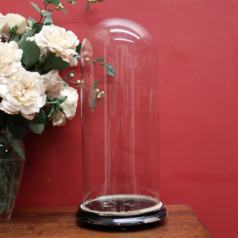 x SOLD Antique French Glass Dome on a Timber Base, Taxidermy or Clock ...